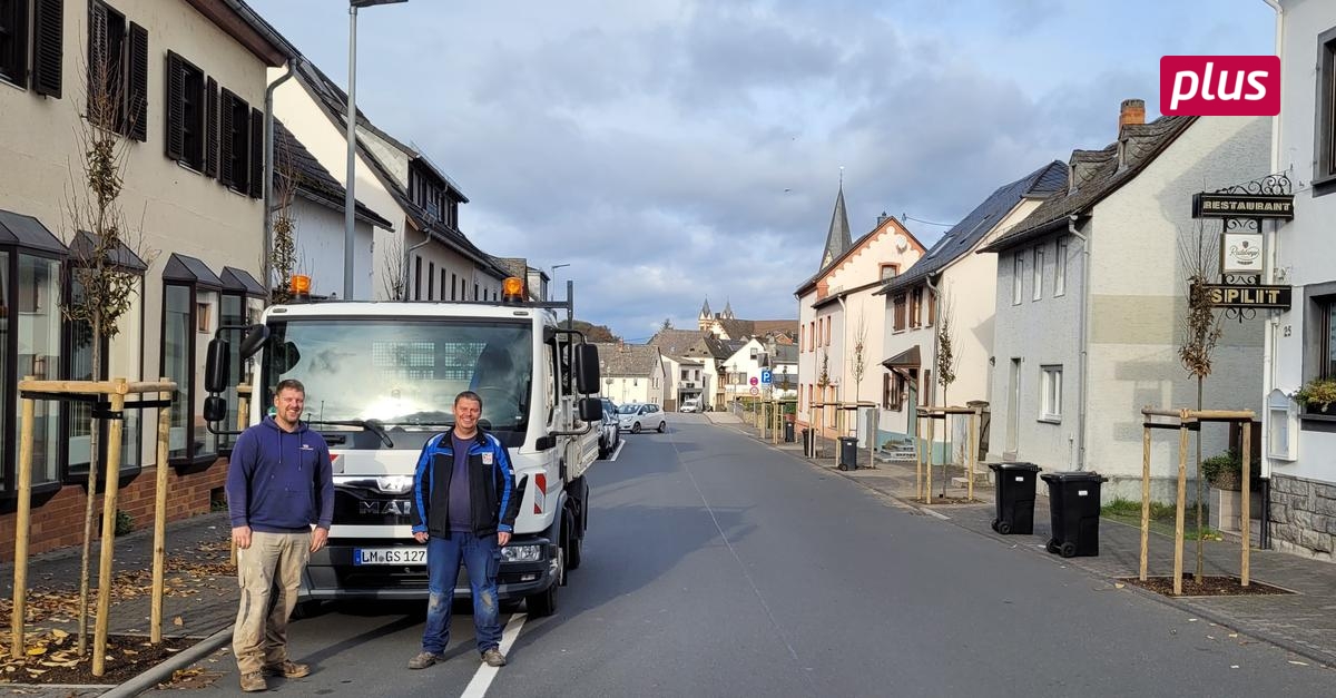 Niederselters: Baumallee contra Barrierefreiheit?